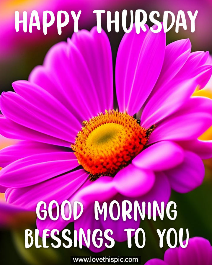 Happy Thursday, Good Morning Blessings To You Pictures, Photos, and ...