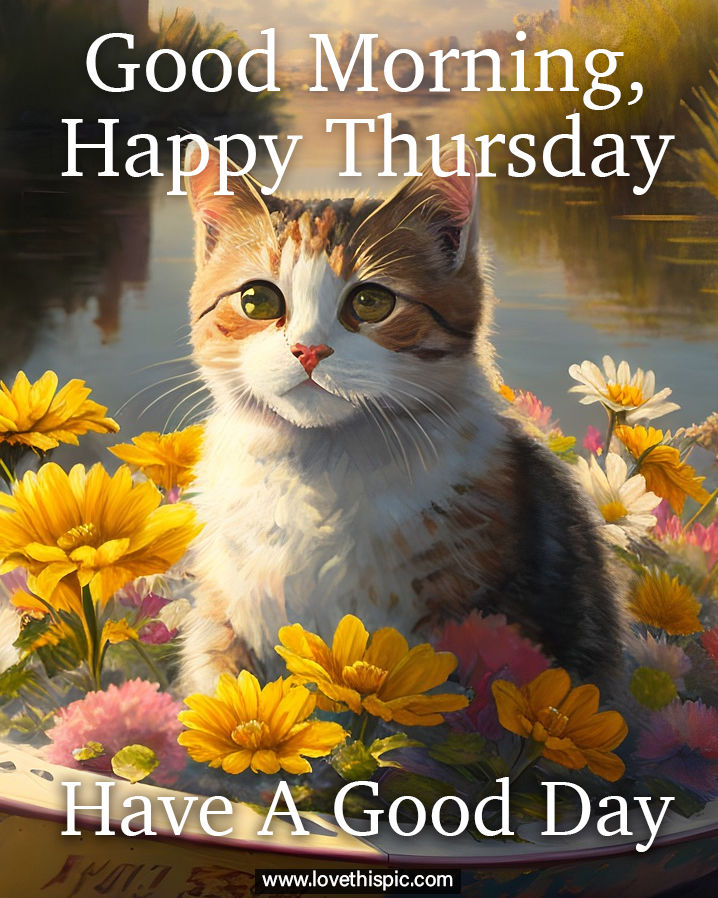 Kitty In Floral Boat - Good Morning, Happy Thursday. Have A Good Day ...