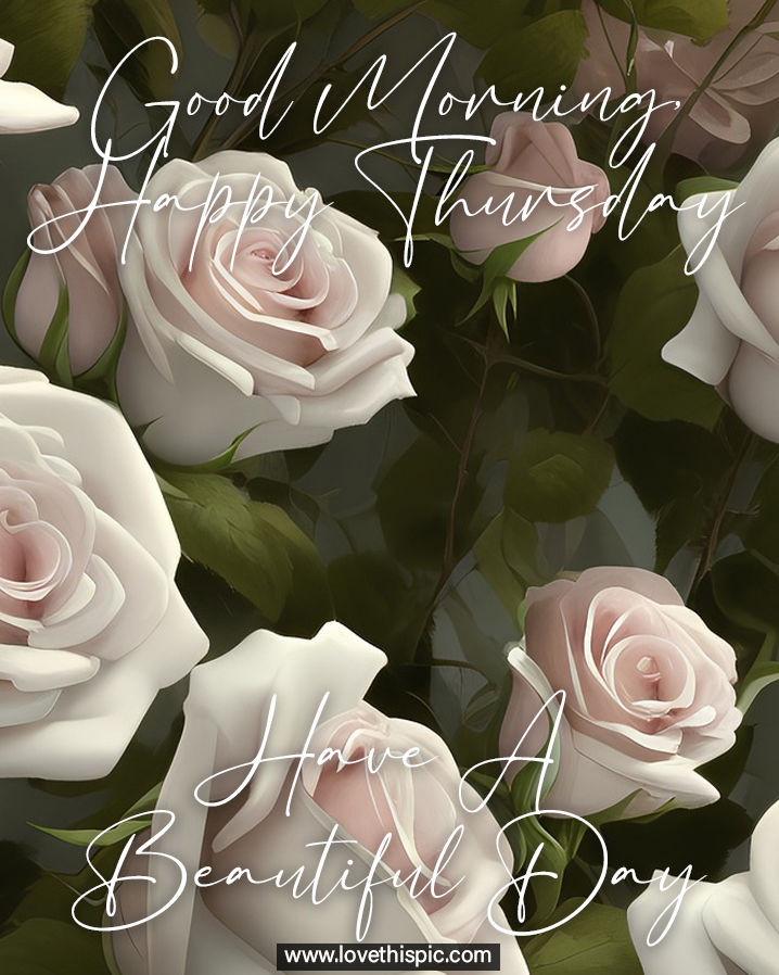 Good Morning White Roses