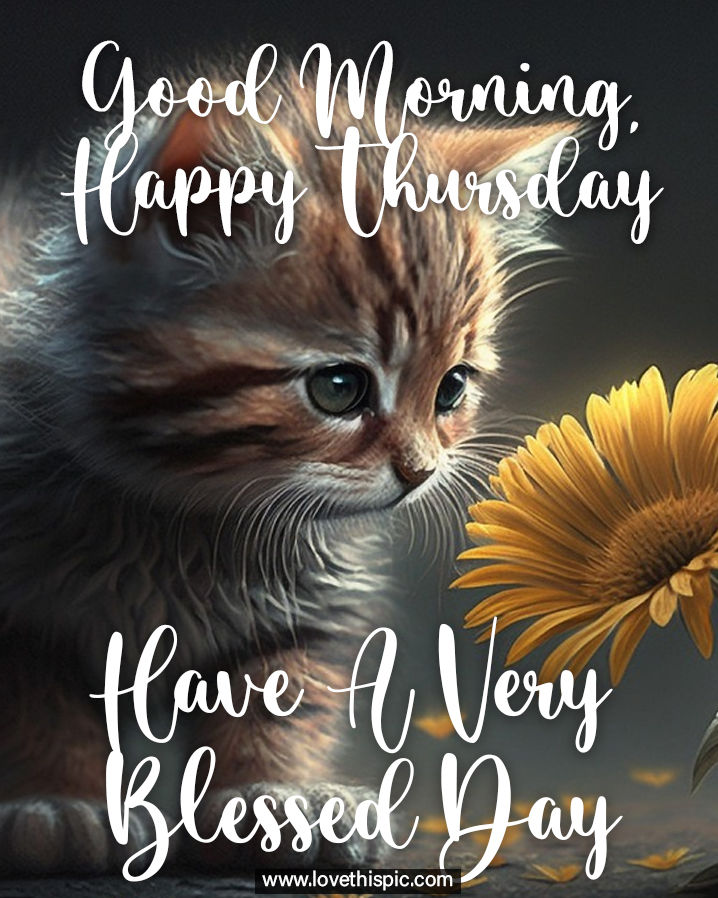 Good Morning, Happy Thursday. Have A Very Blessed Day Pictures, Photos ...