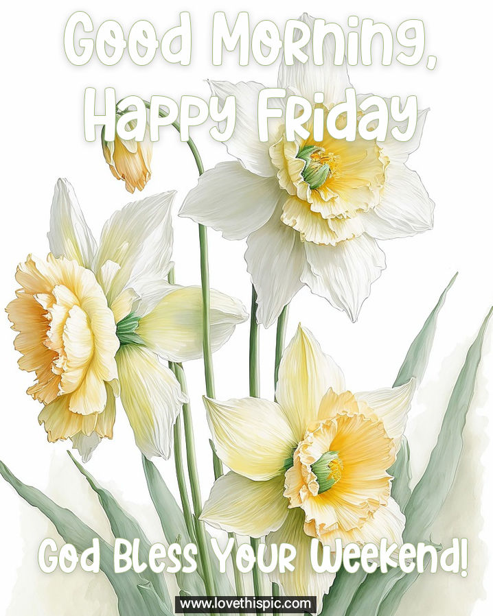 Daffofil Good Morning Happy Friday Blessing Pictures, Photos, and ...