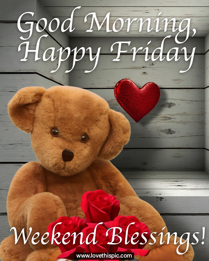 Teddy & Roses - Good Morning, Happy Friday To You Pictures, Photos, and ...