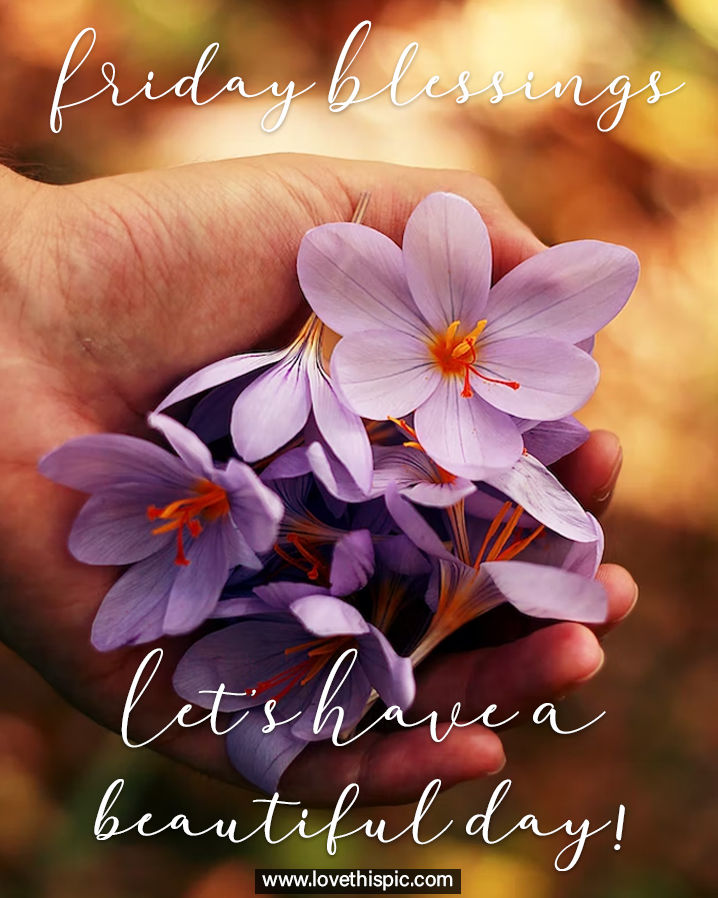 Friday Blessings With Violet Flowers - Let's Have A Beautiful Day ...