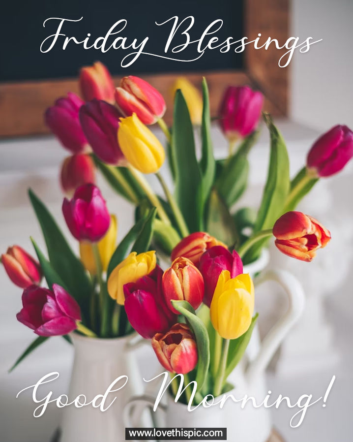 Bouquet Of Tulips: Friday Blessings, Good Morning Pictures, Photos, and ...