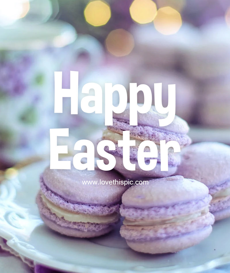 Lavender Macarons - Happy Easter Greeting Pictures, Photos, and Images ...