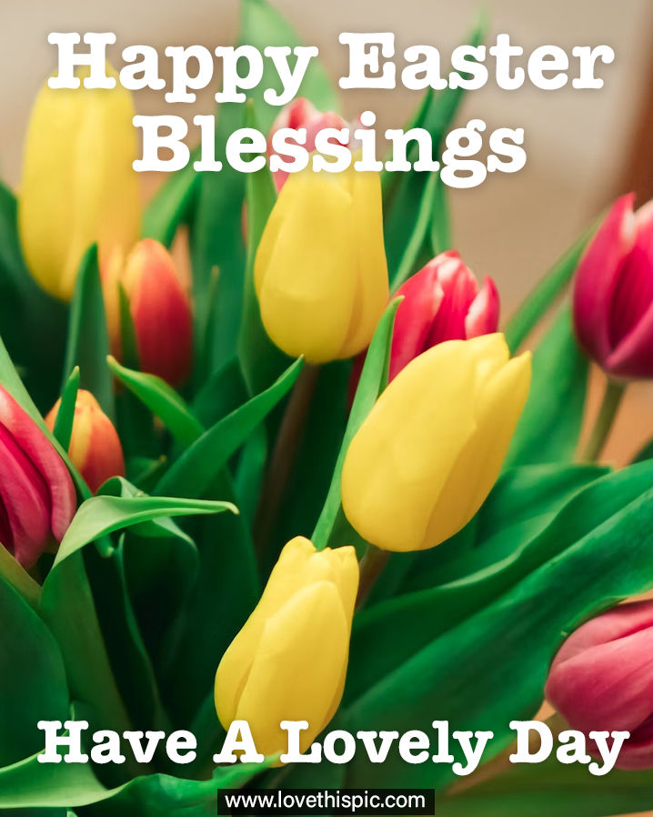 Happy Easter Blessings, Have A Lovely Day Pictures, Photos, and Images ...