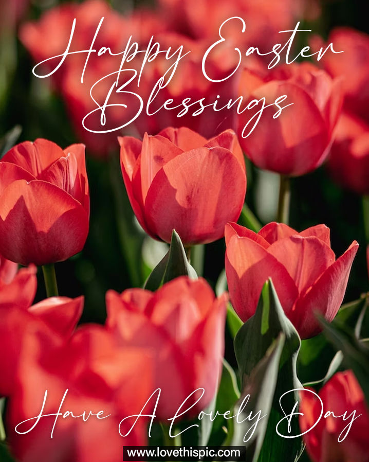 Happy Easter Blessings With Red Flowers Pictures, Photos, and Images ...