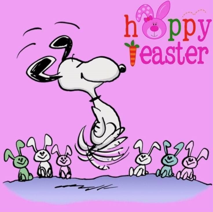 Hoppy Easter Pictures, Photos, and Images for Facebook, Tumblr, Pinterest, and Twitter