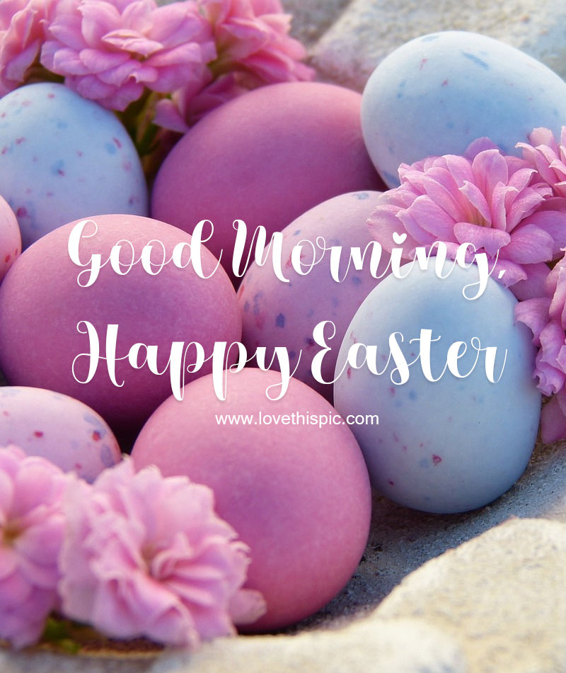 Good Morning Easter With Pink And Blue Easter Eggs Pictures, Photos ...