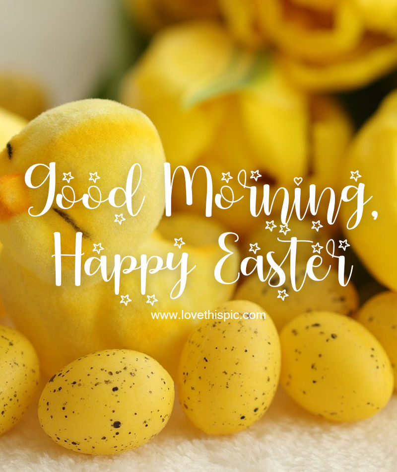 Yellow Chicks & Eggs: Good Morning, Happy Easter Quote Pictures, Photos ...