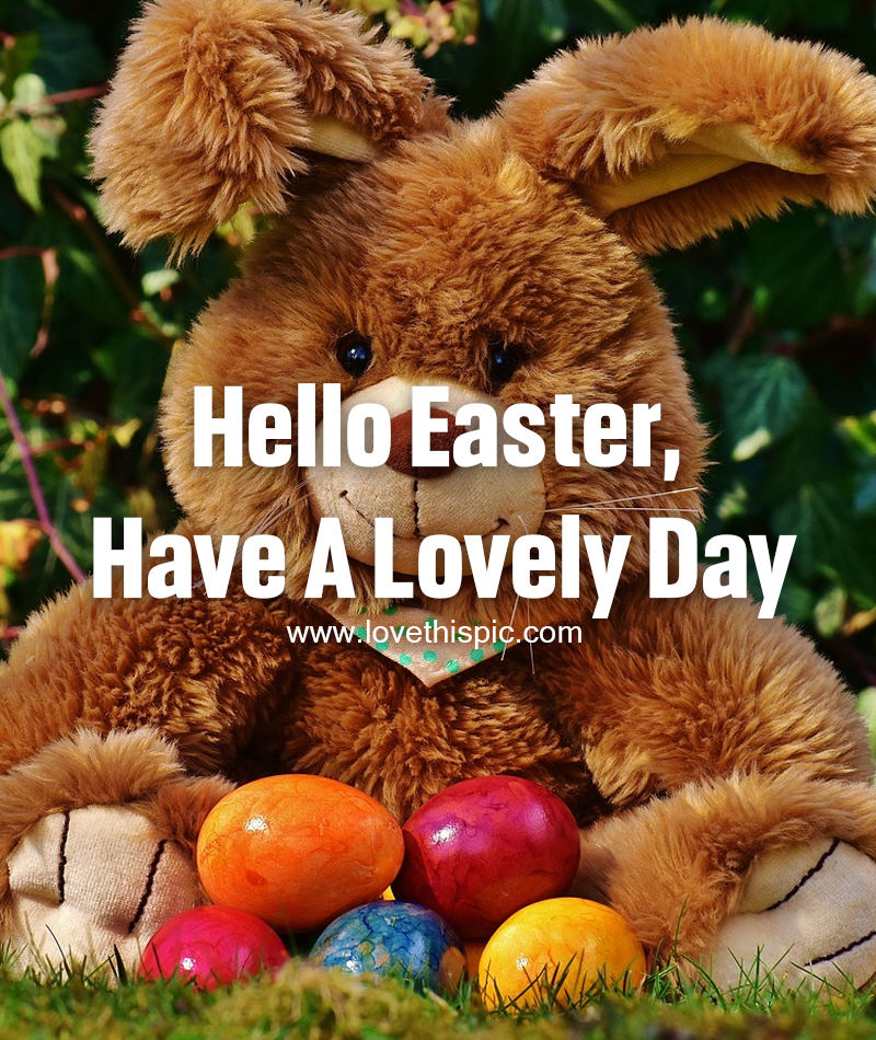 Hello Easter, Have A Lovely Day Pictures, Photos, and Images for ...