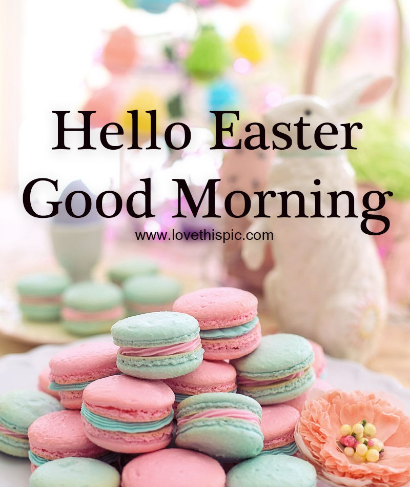 Good Morning, Hello Easter Pictures, Photos, and Images for Facebook ...