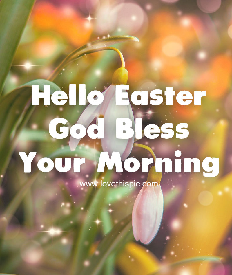 God Bless Your Morning, Hello Easter Pictures, Photos, and Images for ...