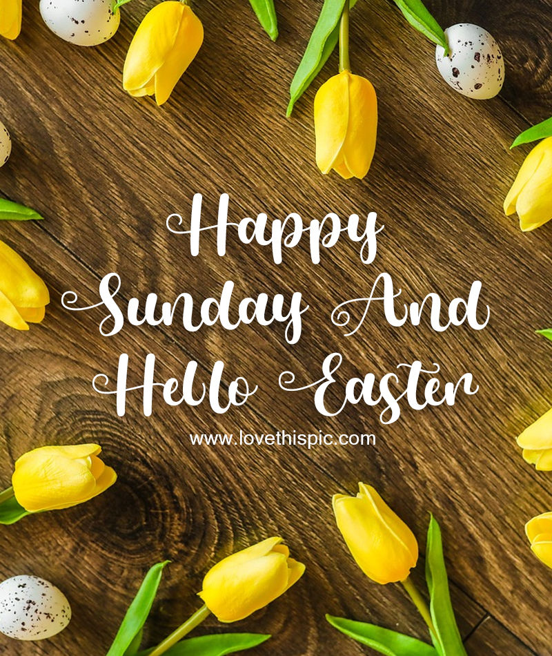 Happy Sunday And Hello Easter Pictures, Photos, and Images for Facebook, Tumblr, Pinterest, and ...