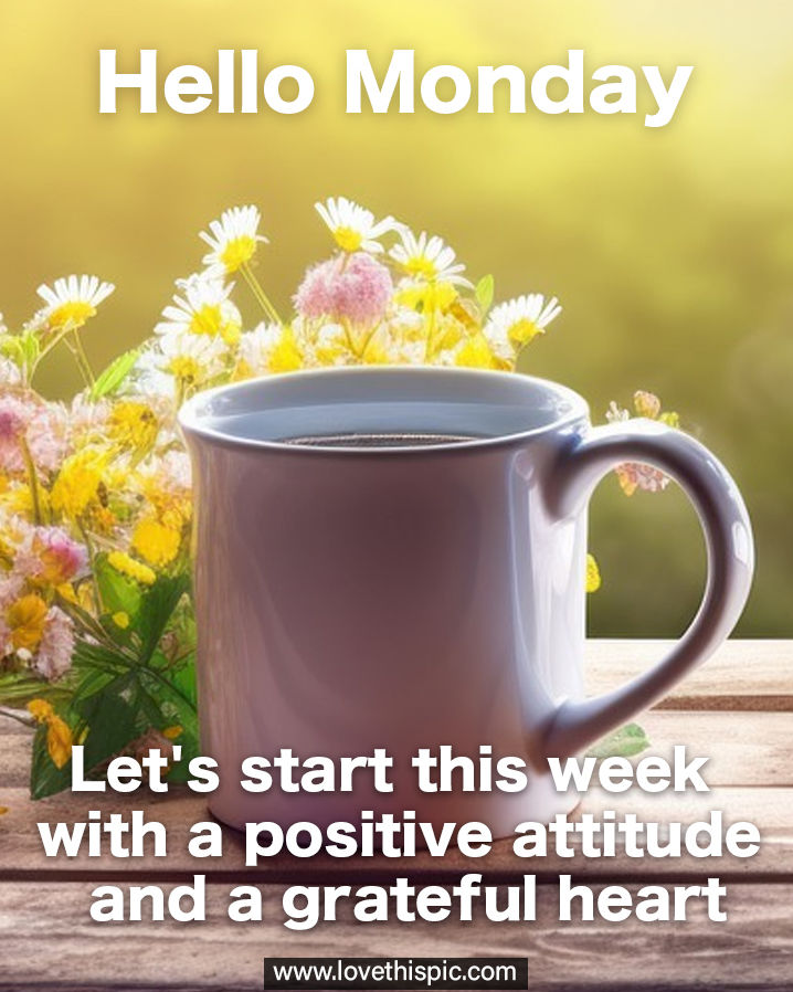 Let's Start This Week With A Positive Attitude And A Grateful Heart ...