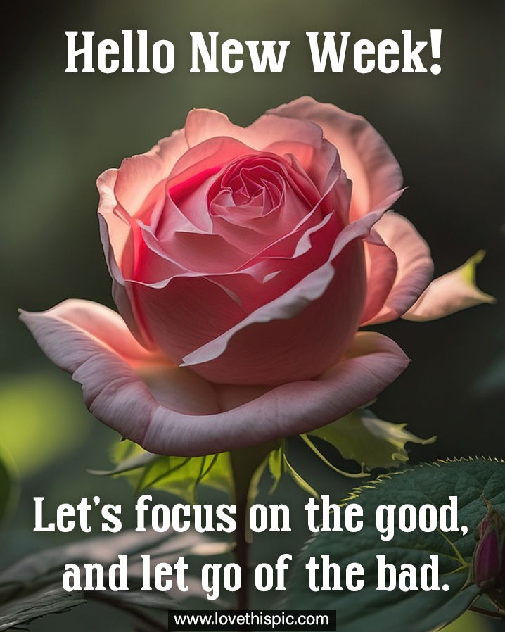 Hello New Week! Let's Focus On The Good, And Let Go Of The Bad ...