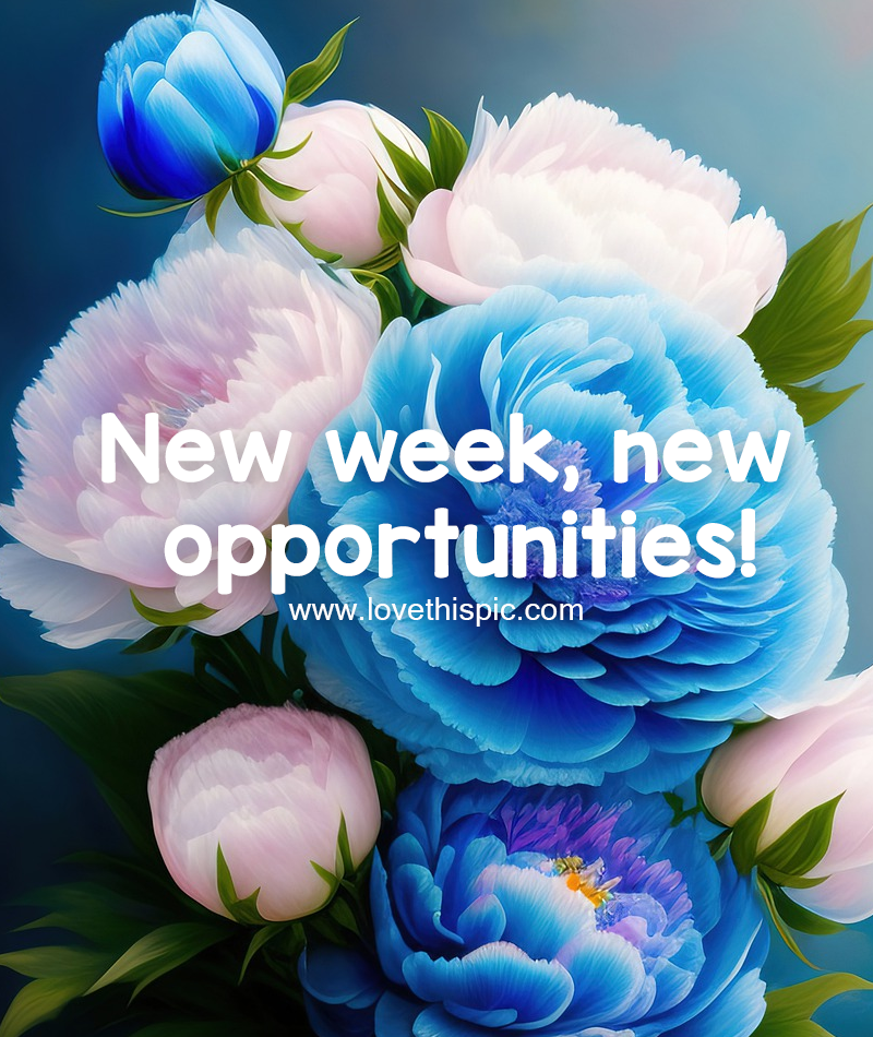 New Week, New Opportunities! Pictures, Photos, and Images for Facebook ...