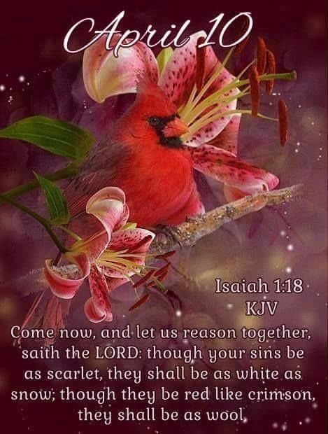 April 10 Pictures, Photos, and Images for Facebook, Tumblr, Pinterest ...