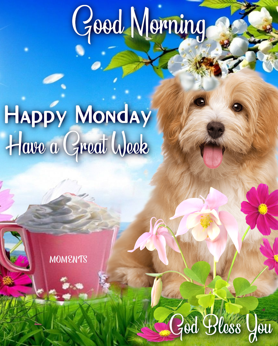 Happy Monday And Good Morning: Have A Great Week Pictures, Photos, and ...
