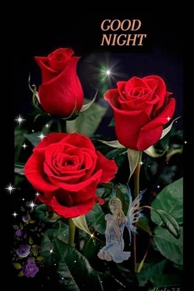 Good Night Roses Jpg