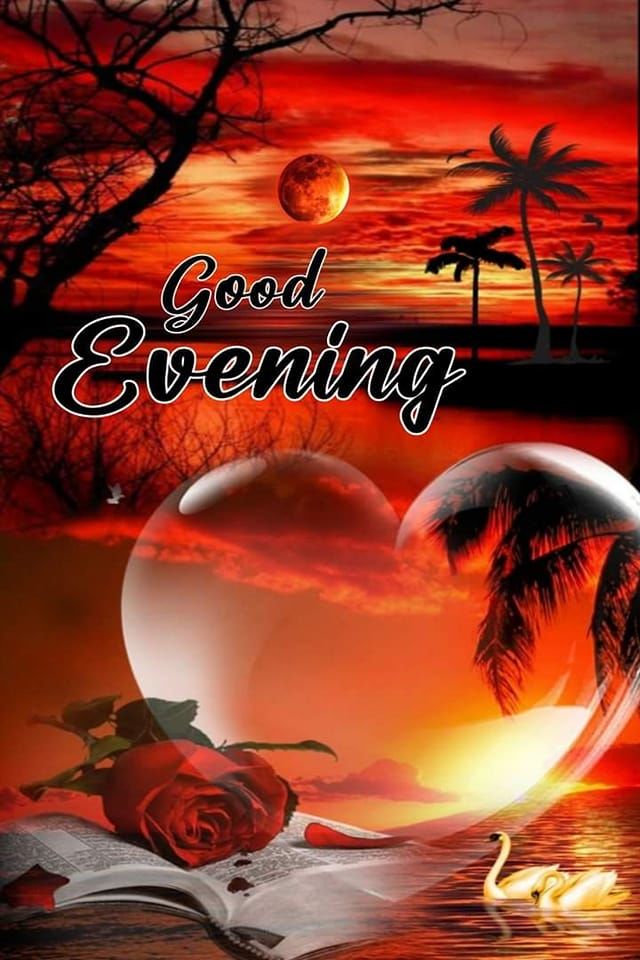 Romantic Good Evening Sunset Greeting Pictures, Photos, and Images for ...