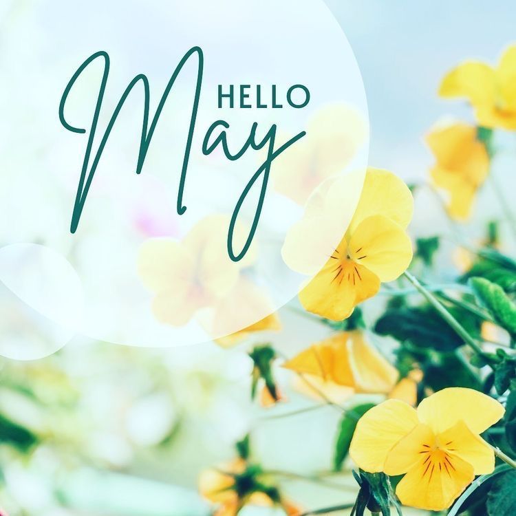 Yellow Flower Hello May Quotes Pictures, Photos, and Images for ...