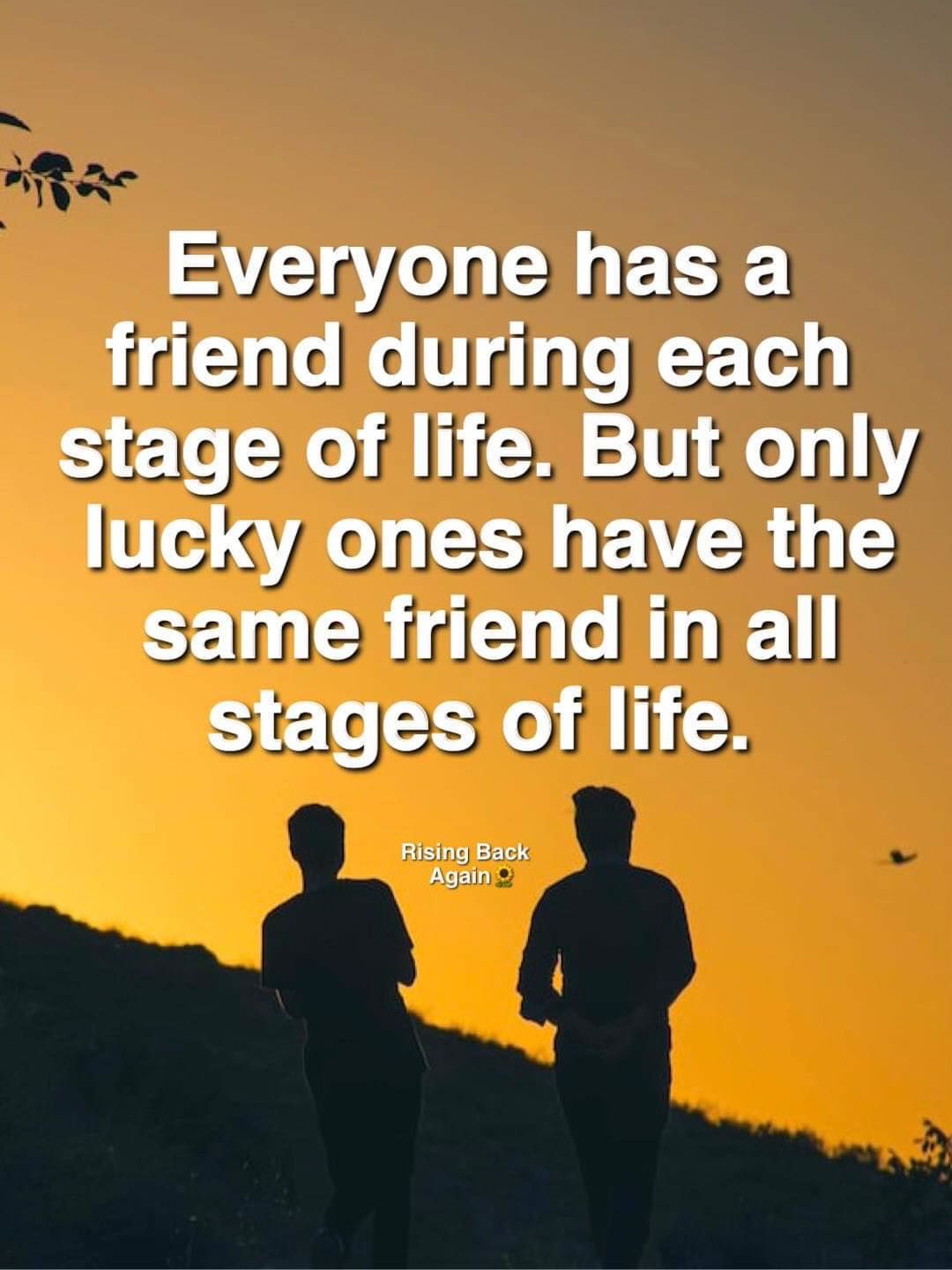 Everyone Has A Friend During Each Stage Of Life. But Only Lucky Ones ...