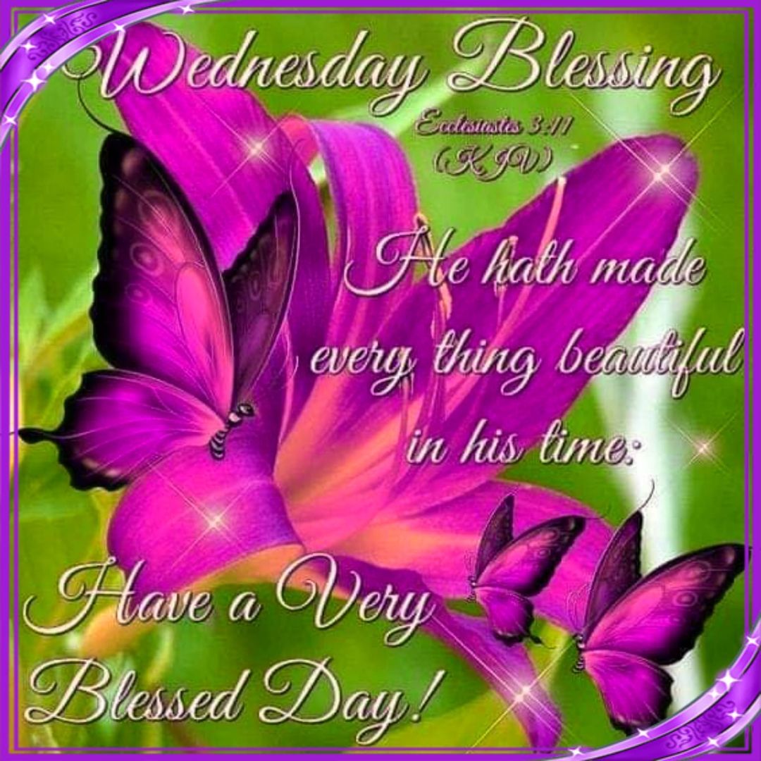 Violet Butterflies - Wednesday Blessing Pictures, Photos, and Images ...