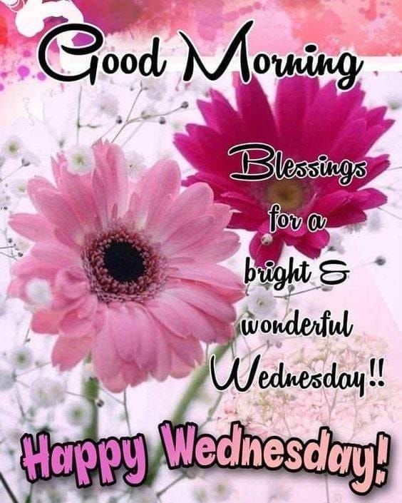 Blessings For A Bright & Wonderful Wednesday!! Good Morning Happy ...