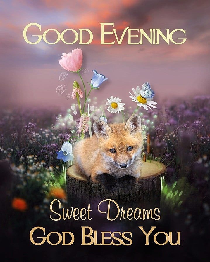 Good Evening, Sweet Dreams. God Bless You. Pictures, Photos, and Images ...