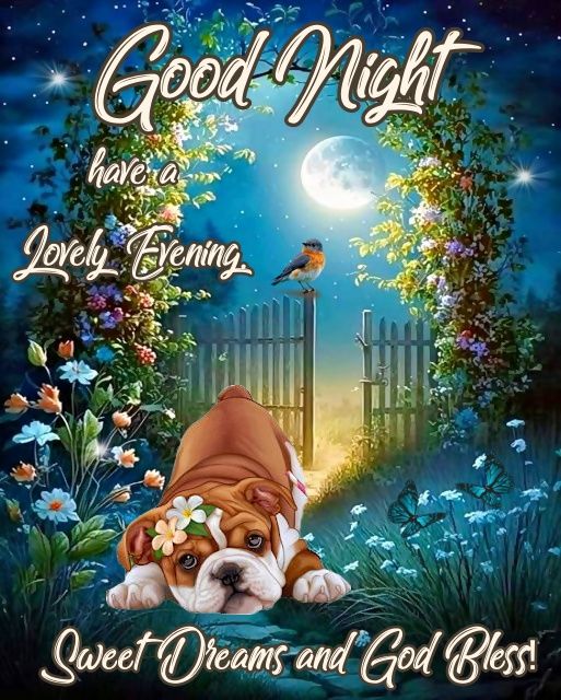 Precious Dog - Good Night, Have A Lovely Evening Pictures, Photos, and ...