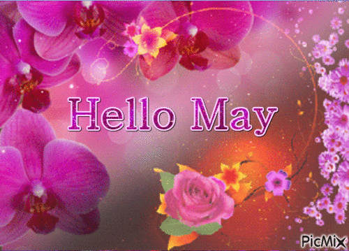 Animated Hello May Floral Gif Pictures, Photos, and Images for Facebook ...