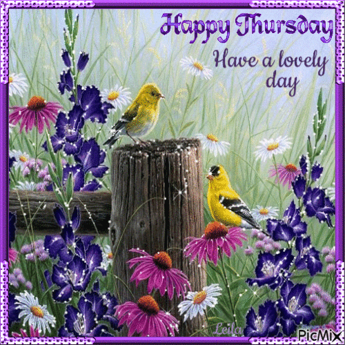 Happy Thursday With Beautiful Birds & Flowers Pictures, Photos, and ...