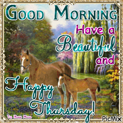 Good Morning Beautiful Happy Thursday With Horses Pictures, Photos, and ...
