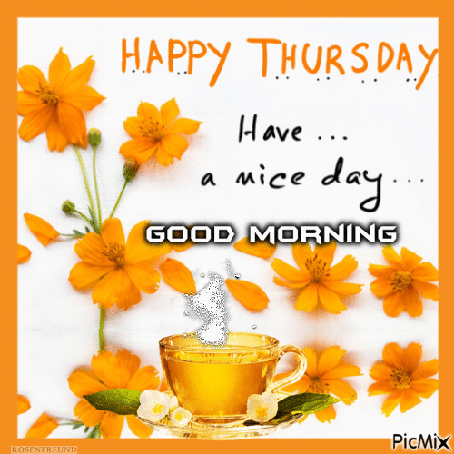 Good Morning: Happy Thursday With Orange Flowers Pictures, Photos, and ...