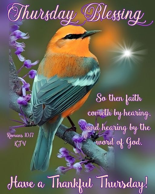 Have A Thankful Thursday Pictures, Photos, and Images for Facebook ...