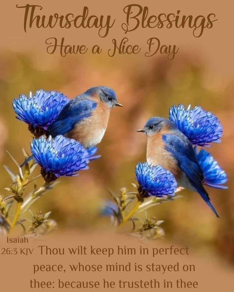 Blue Bird Thursday Blessings Pictures, Photos, and Images for Facebook ...