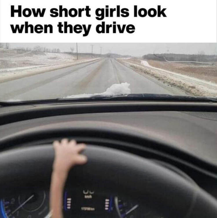 How Short Girls Look When They Drive Pictures, Photos, and Images for ...