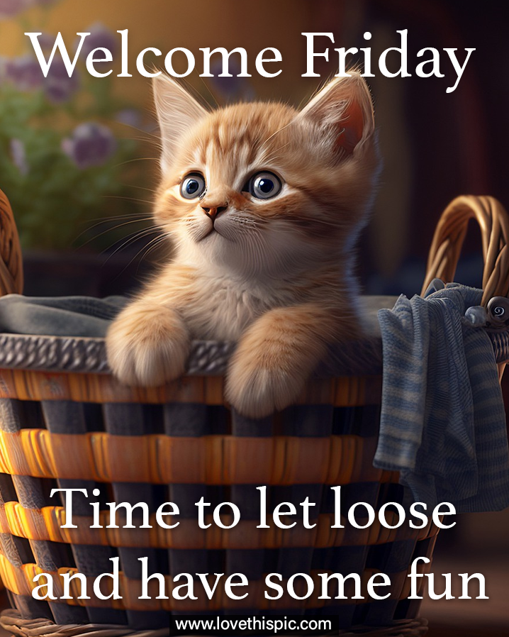 Welcome Friday: Time To Let Loose And Have Some Fun Pictures, Photos ...