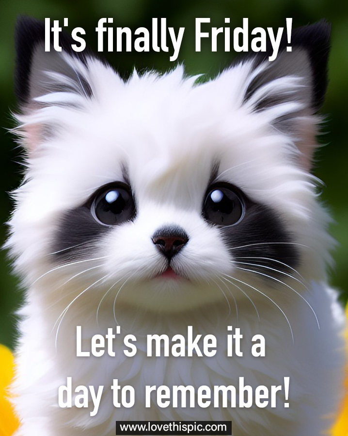 Finally Friday: Let's Make It A Day To Remember! Pictures, Photos, and ...