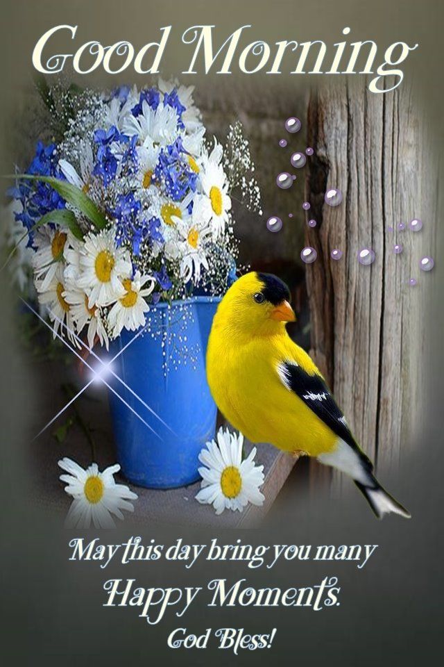 Good Morning: May This Day Bring You Many Happy Moments. Pictures ...