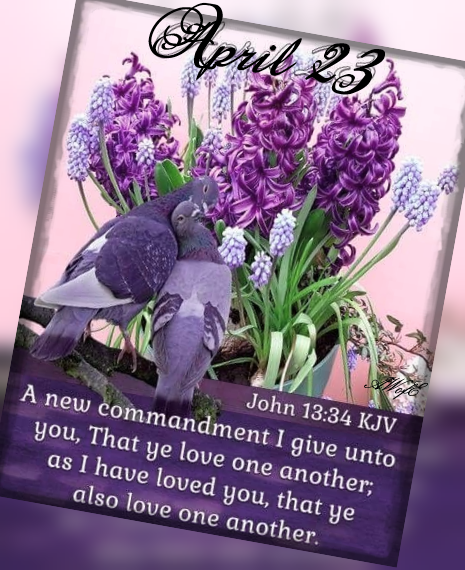 April 23 (John 13:13 Scripture) Pictures, Photos, and Images for ...