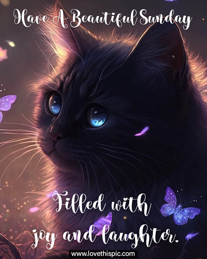 Have A Beautiful Sunday Filled With Joy And Laughter. Pictures, Photos ...