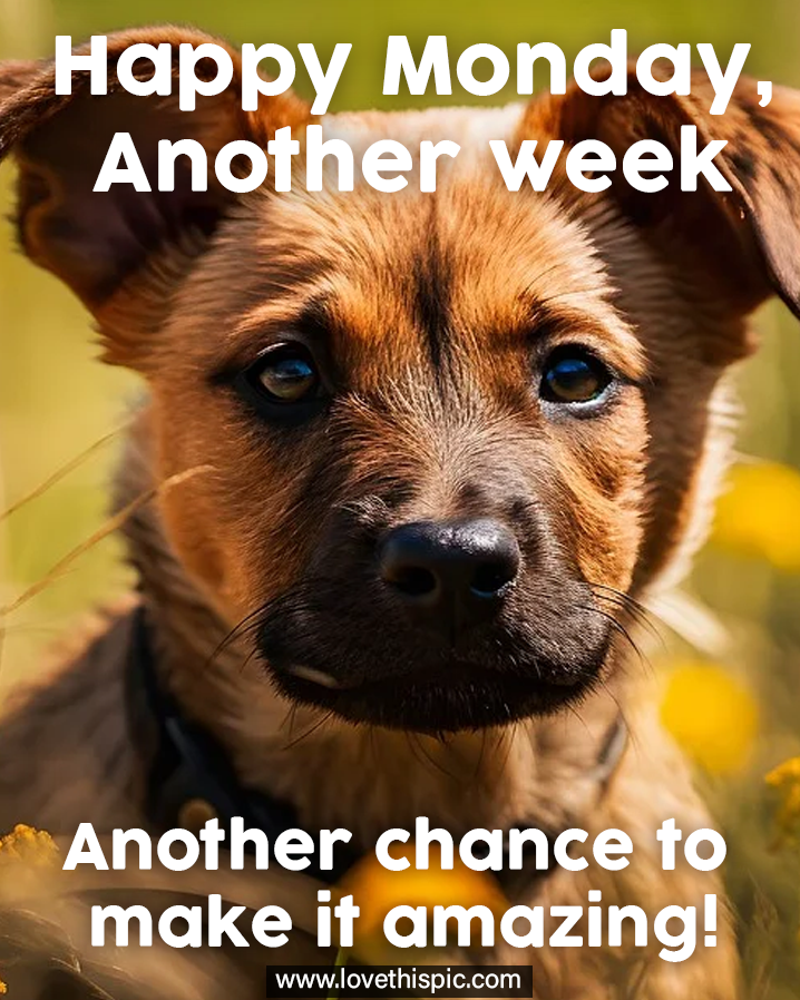 Another Week, Another Chance To Make It Amazing! Pictures, Photos, and Images for Facebook ...