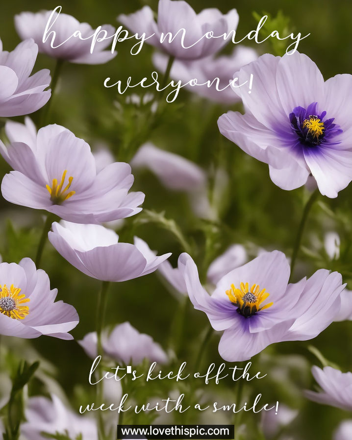 Let's Kick Off The Week With A Smile! Happy Monday Everyone! Pictures ...