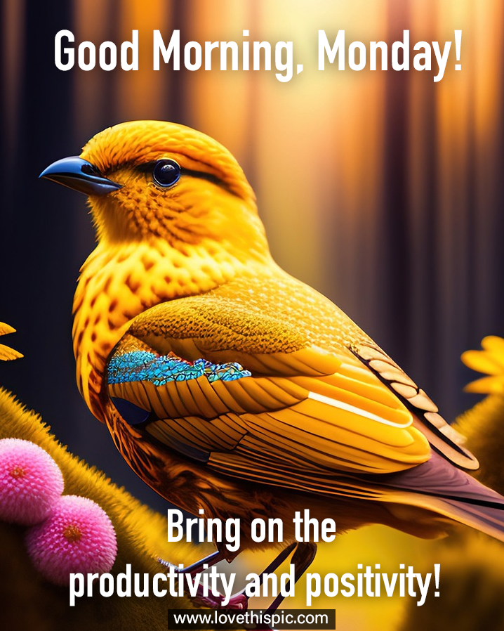 Good Morning, Monday! Bring On The Productivity And Positivity ...