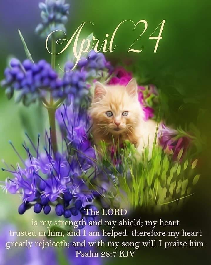 April 24 Pictures, Photos, and Images for Facebook, Tumblr, Pinterest ...