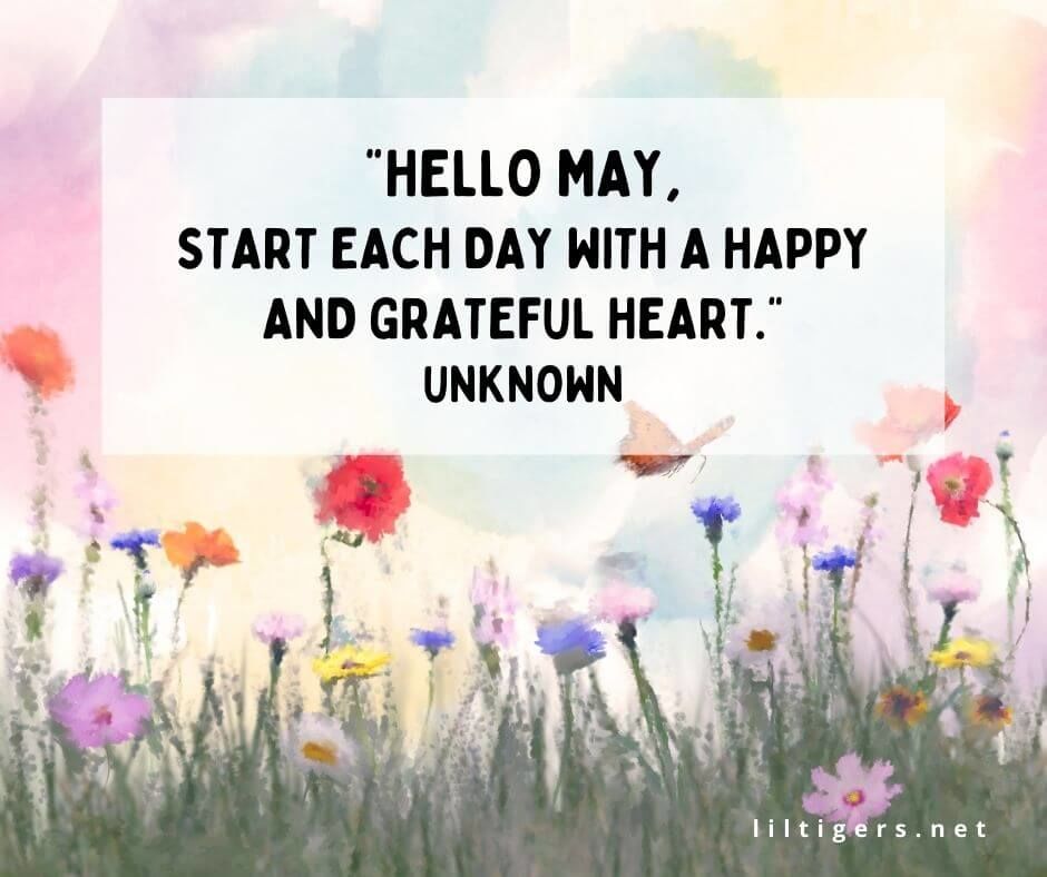 Hello May Quotes