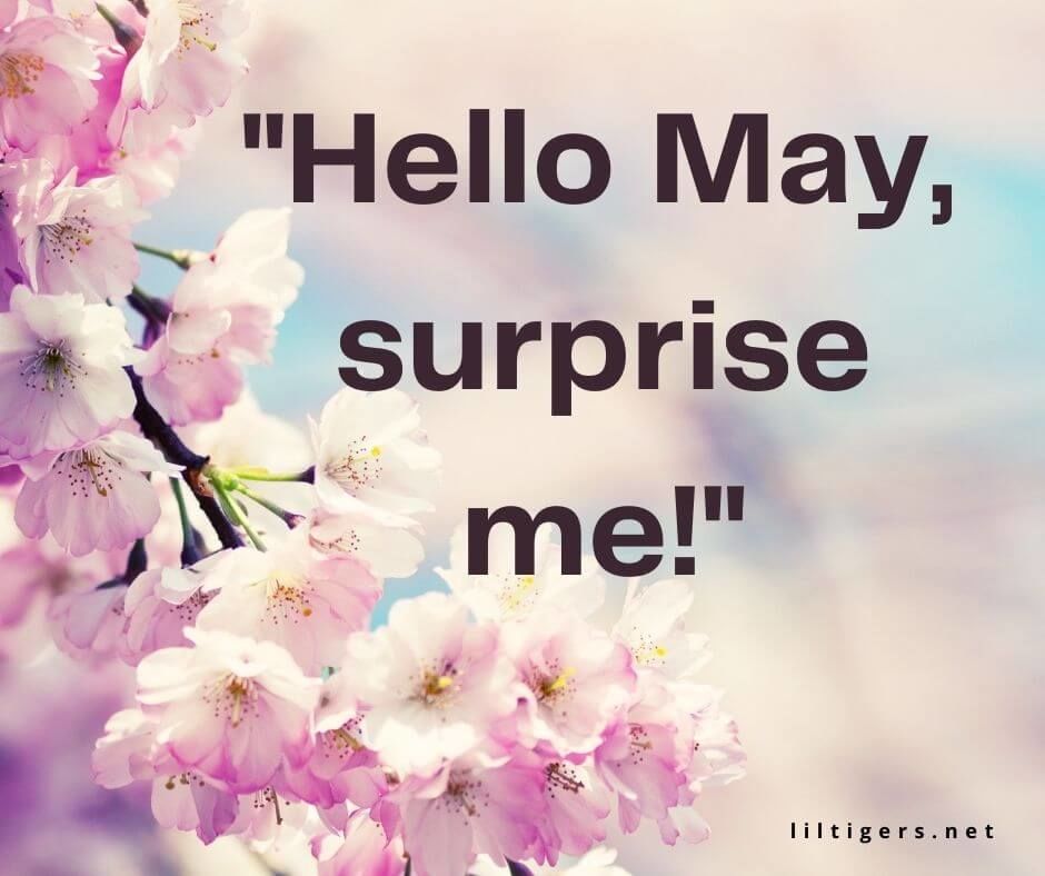 Hello May Quotes