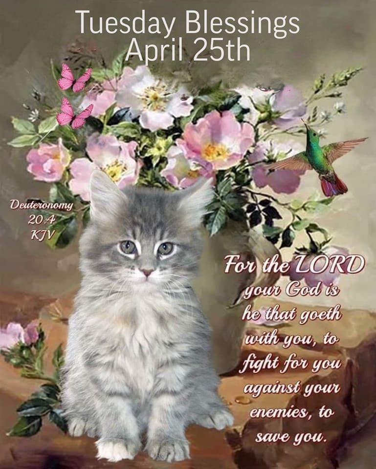 Tuesday Blessings: April 25th Pictures, Photos, and Images for Facebook ...